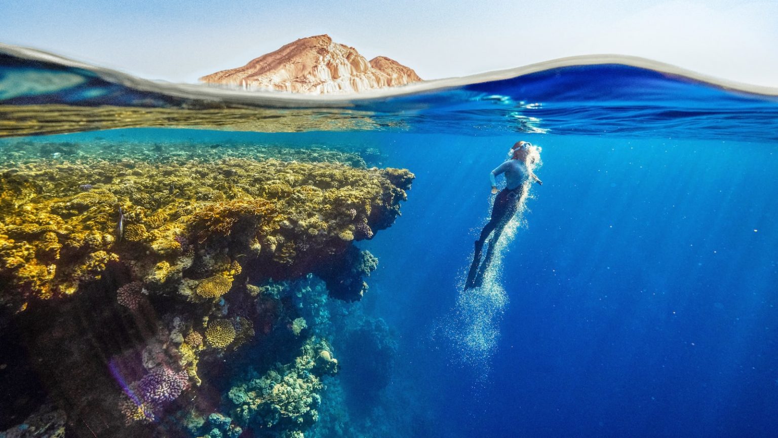 What Fitness Component Is Swimming? - Fitness is a Must